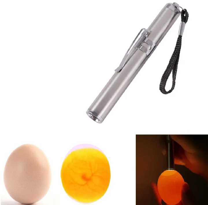 Egg Candling Torch for Birds – Premium LED Light for Egg Inspection ...