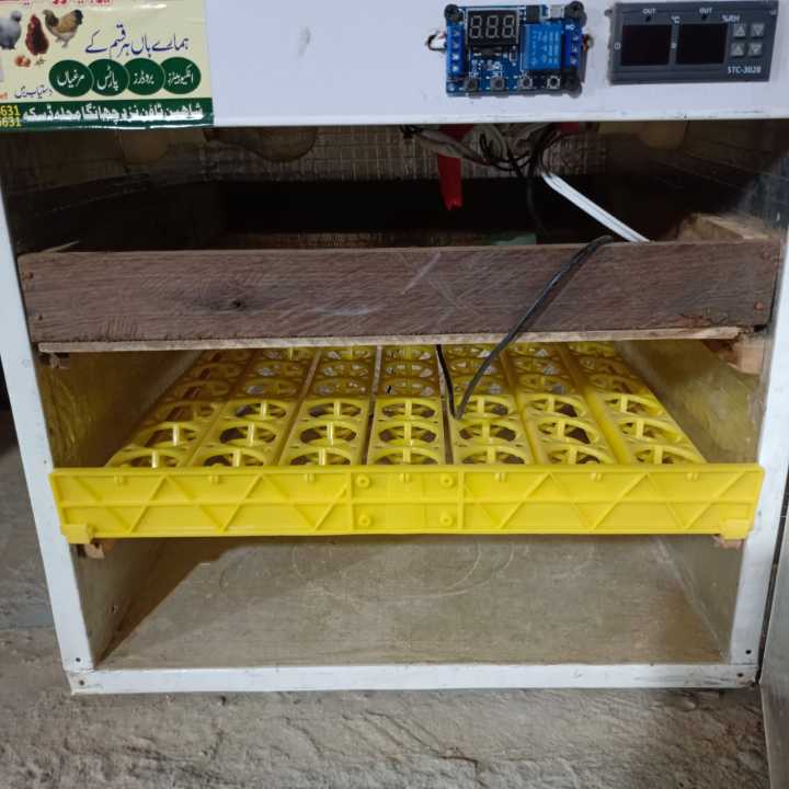 56 Eggs Fully Automatic Incubator By Daska Incubators | Daraz.pk