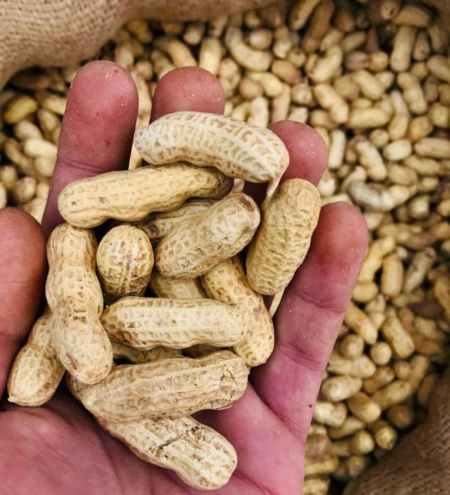 Moong Phali 500 gram / Roasted Parachanar moong phali / premium quality ...