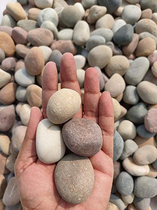 River Pebbles Rocks for Garden, Landscaping, Aquarium and Home Decor (7 ...