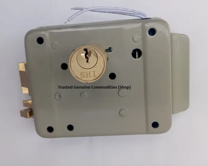 Electric Automatic Main Gate Lock Heavy Duty Main Gate Lock (5 Keys ...