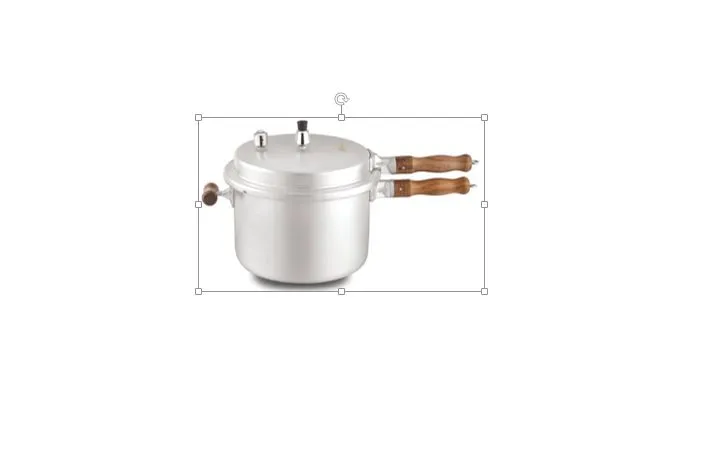 Domestic Woodco Royal Series Pressure Cooker 7 Liter | Daraz.pk