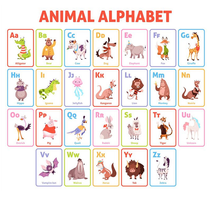 New Alphabet ABC Animal Flash Card | Daraz.pk