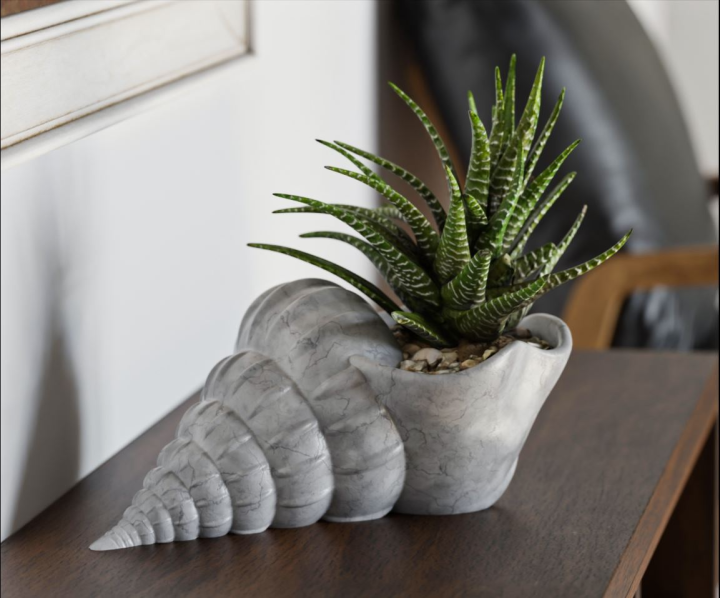 Coastal Seashell Planter – Decorative Shell-Shaped Pot for Succulents ...