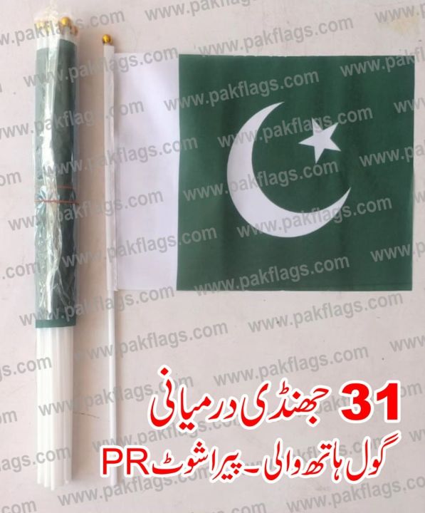 12 Pcs Pakistan Hand Flag 12 pcs Small Size Jhanda | Daraz.pk