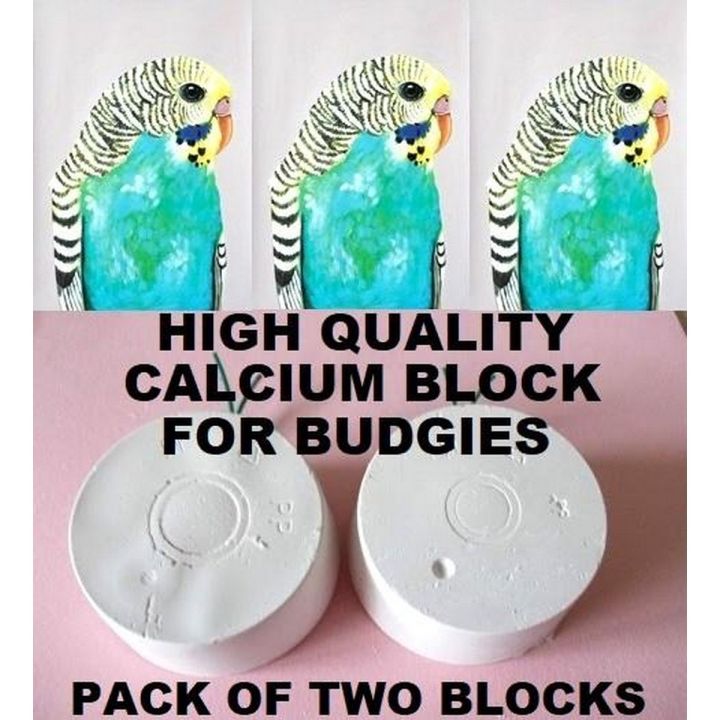 Calcium Blocks for Australlian Parrots , Love Birds and Finch Birds ...