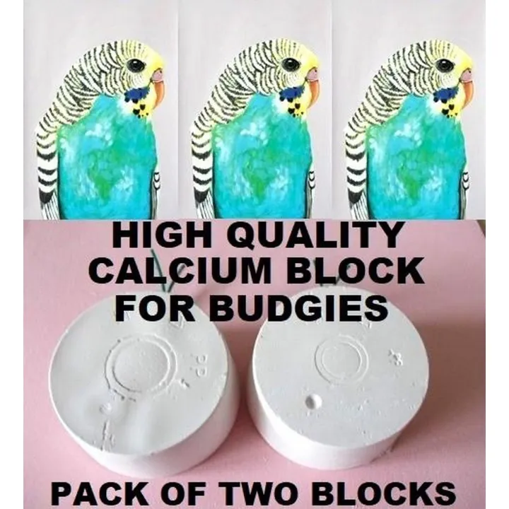 Calcium Block For Australian Parrots Lovebirds Finch Birds | Daraz.pk