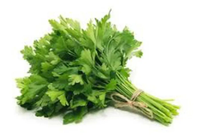 Parsley Seeds In Urdu Parsley Seeds Boota.pk