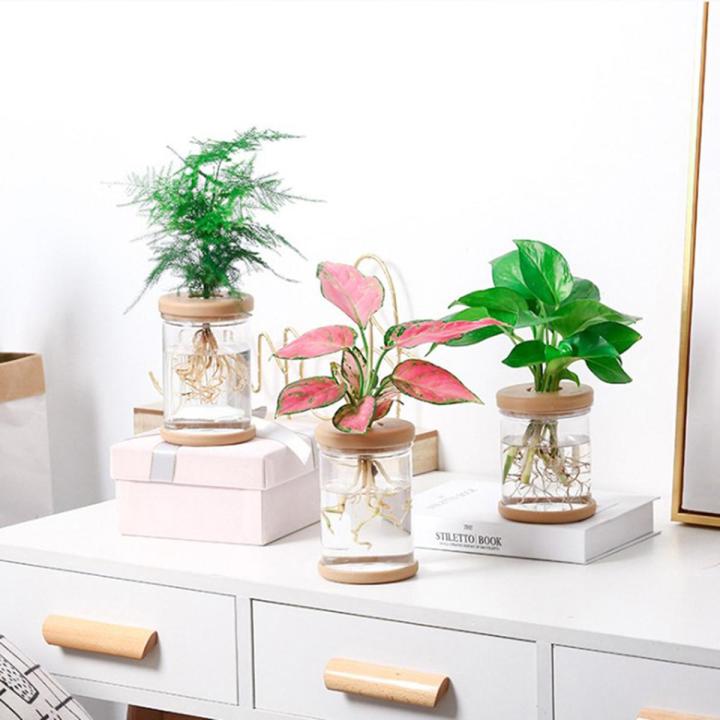 1 Pcs Transparent Flower Pot Hydroponic Automatic Water Absorption ...