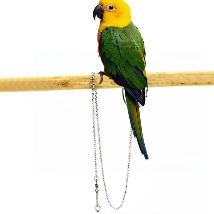 Bird Parrot Foot Chain Stainless Steel Ankle Foot Ring Outdoor Flying ...