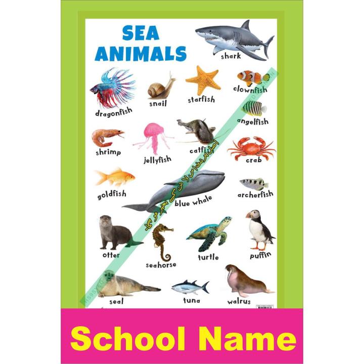 Sea Animals with Name - Board and Chart Graphics Flex sheet Panaflex ...