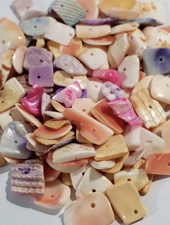 Natural Sea Shell Cuttings With Smooth Edges For DIY Crafts | 80 to 85 ...