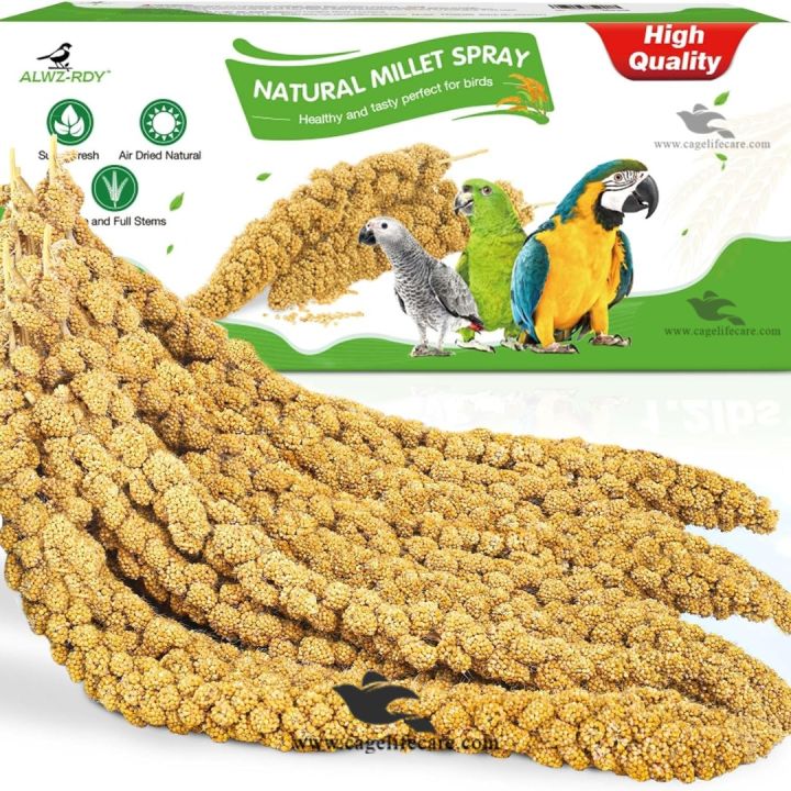 Millet Spray Seeds 250g for Birds – Premium Natural Treat for all types ...