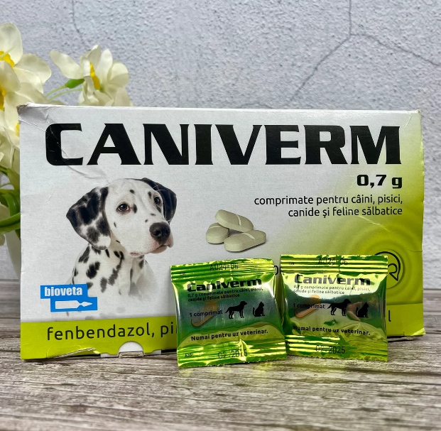 CANIVERM – deworming tablets for dogs and cats | Daraz.pk
