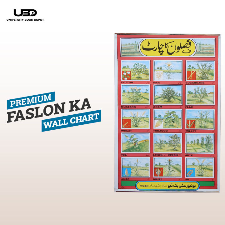 Different Type of Crops Wall Charts | Wall Poster of Crops with ...
