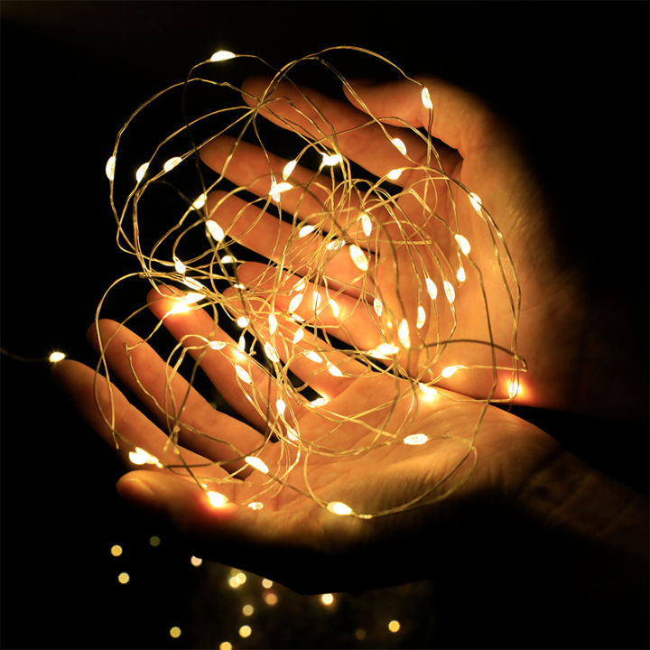 Mini Battery Operated Fairy Lights - LED Firefly String Lights for ...