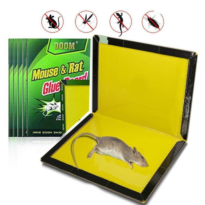 Mouse Rat Glue Traps, New Version Strongly Adhesive, Mouse Traps Glue ...