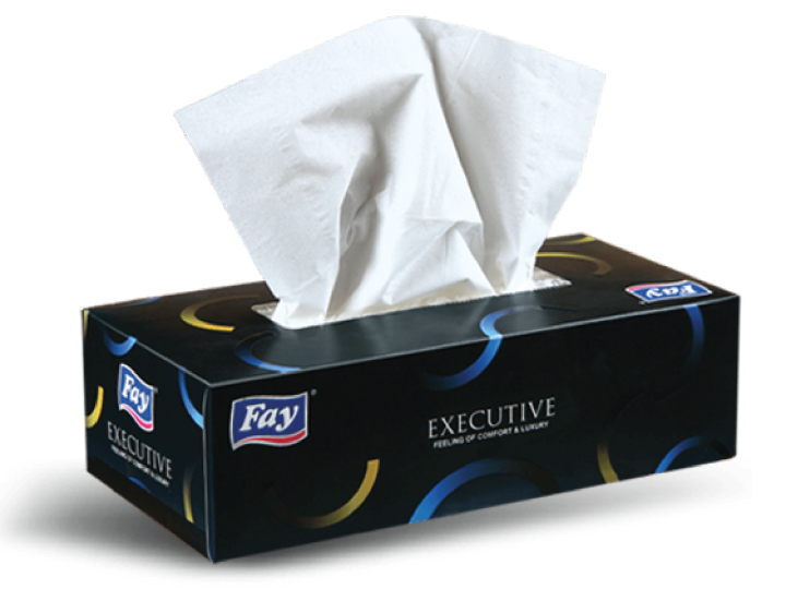 PACK OF 2 TISSUE BOX FAY EXECUTIVE FACIAL TISSUE 150'S | Daraz.pk