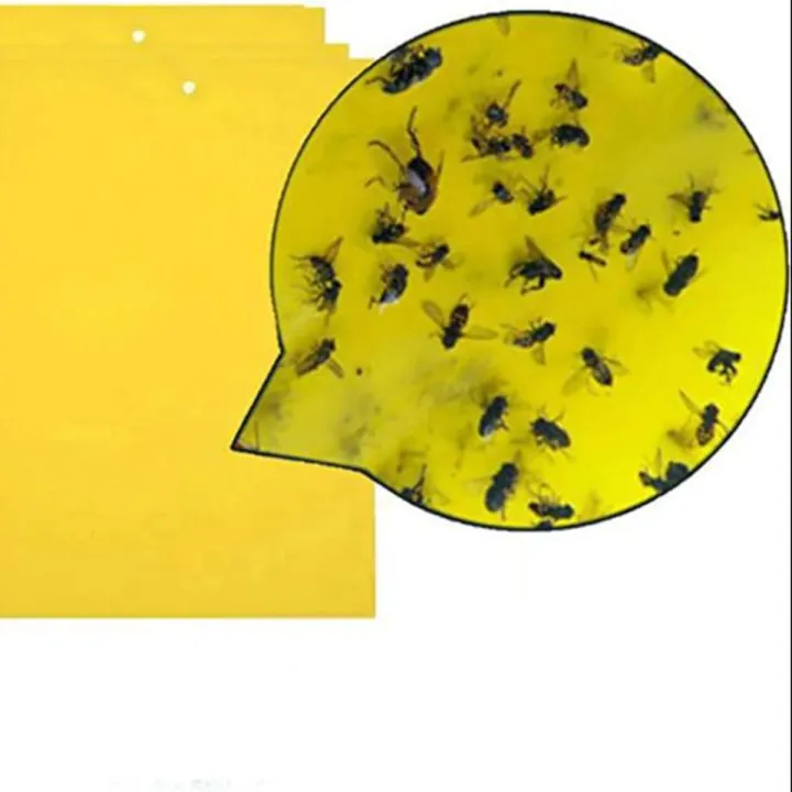 Insect Board Catcher Sticky Board Yellow Sticky Fly Traps,yellow Sticky ...