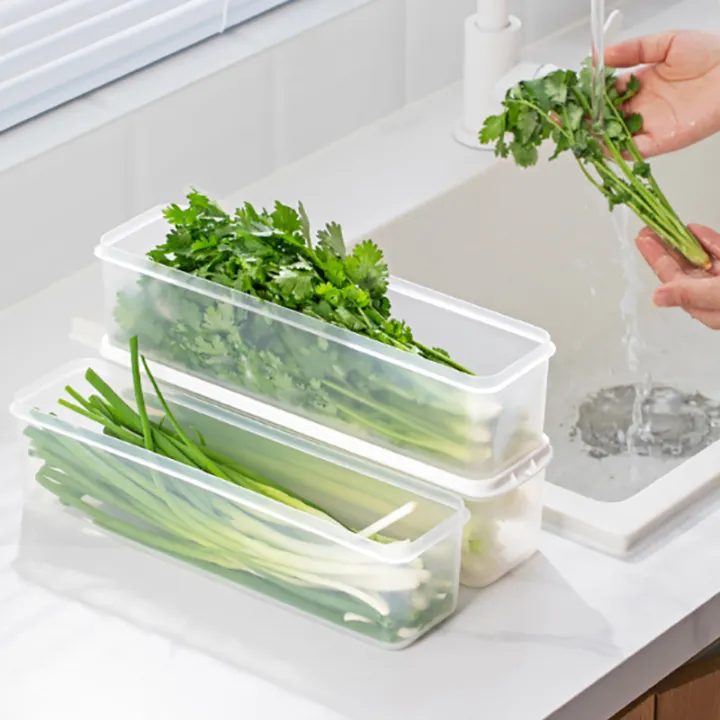 Refrigerator Storage Boxes Scallions Fresh Box Food Container Cold ...