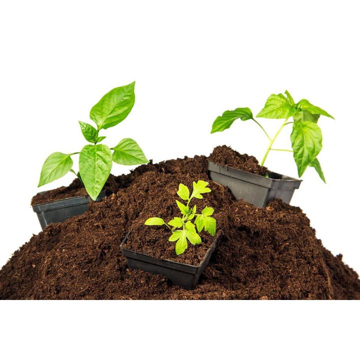 COCO Peat-Organic Compost and Multipurpose (500 g) Fertilizer for ...