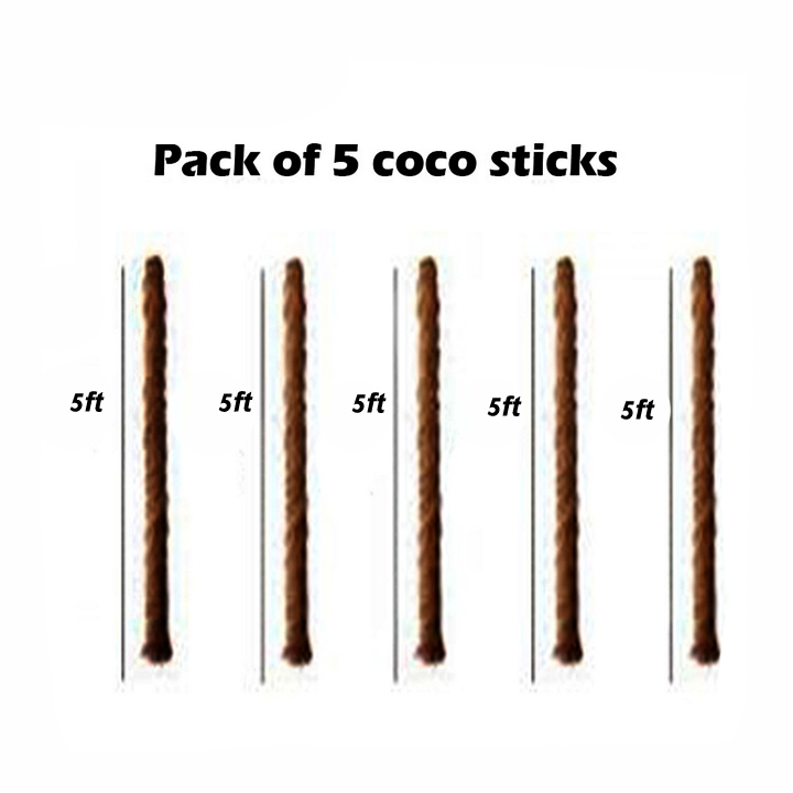 5ft High-Quality Coco Stick with 1.5 Inch PVC Pipe - Ideal Plant ...