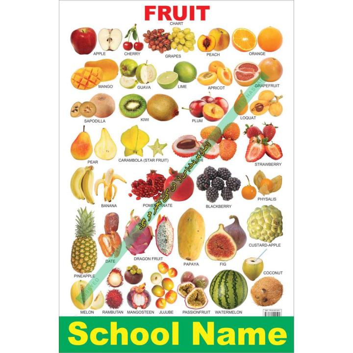 English No.6316 - Fruit Names in English - Chart Graphics Flex sheet ...
