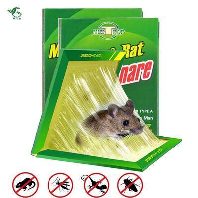 Pack Of - 2 Pcs Reusable Expert Catch Mouse Glue Traps Mouse Size Glue ...