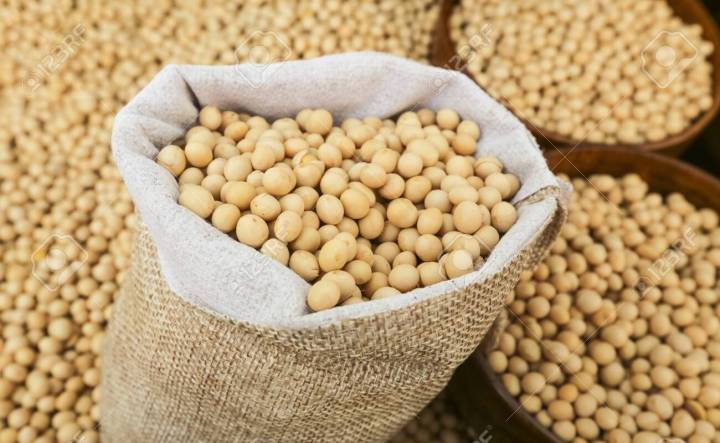 Natural Soya Beans 500gms | Daraz.pk