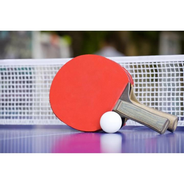 Ping Pong Paddles Quality Dynamic 86000 ping pong Tennis Rackets 2 Ping ...