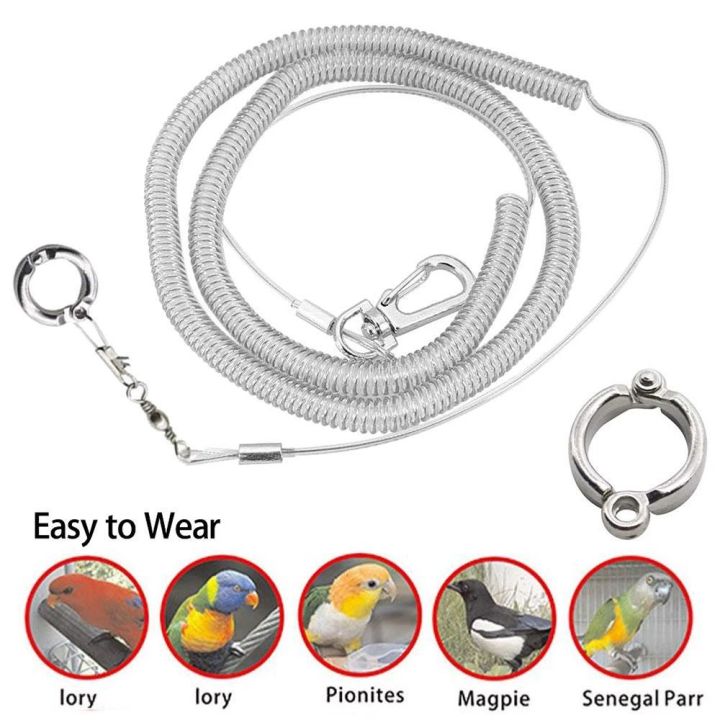 Hot Harness Cockatiel Flying Training Leash Anti-bite Leg Ring Parrot ...