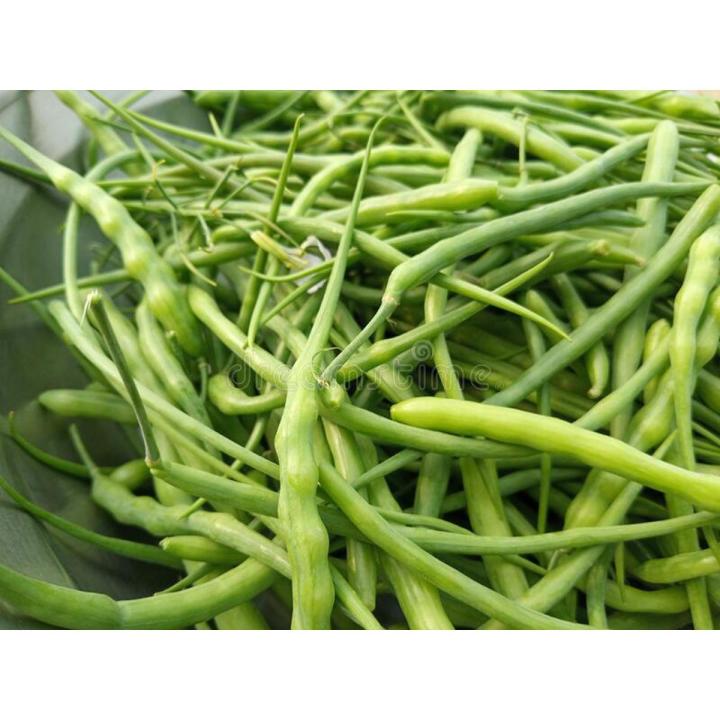 Mongrey (Mongray/ Mongri Radish Pod) Seeds- Vegetables Seeds Excellent ...