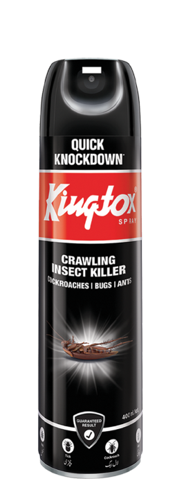 Kingtox Crawling Insect Killer Spray 400ml | Daraz.pk