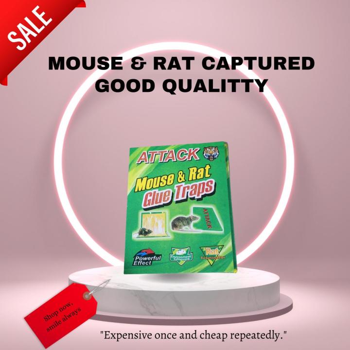 MOUSE TRAP | MOUSE TRAP SHEET | MOUSE TRAP BOOK | RAT TRAP | RAT ...
