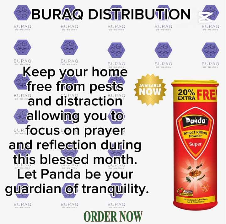 Panda Insect Killing Powder Super 125 Gm Dusting Powder Kills ...