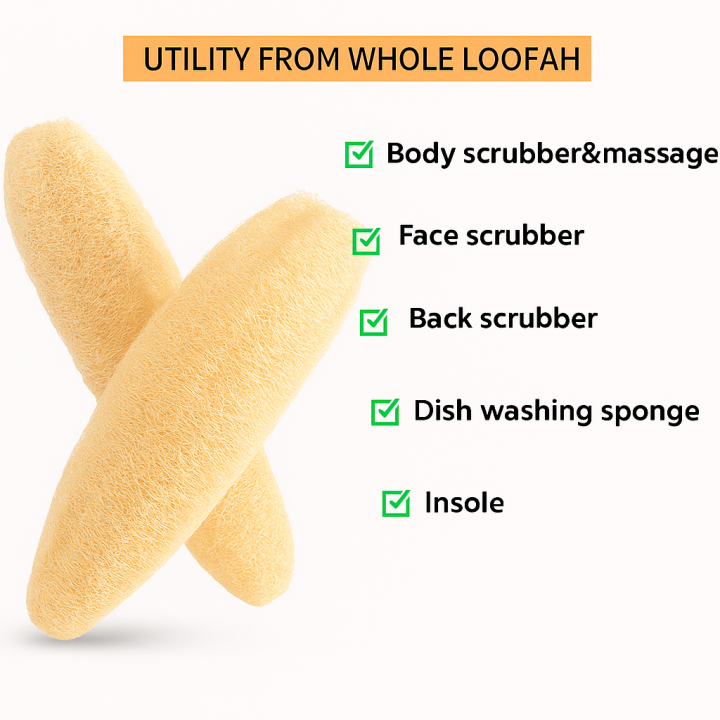 100% Natural Loofa1 h Sponge | Original Organic Lufa Bath Scrubber for ...