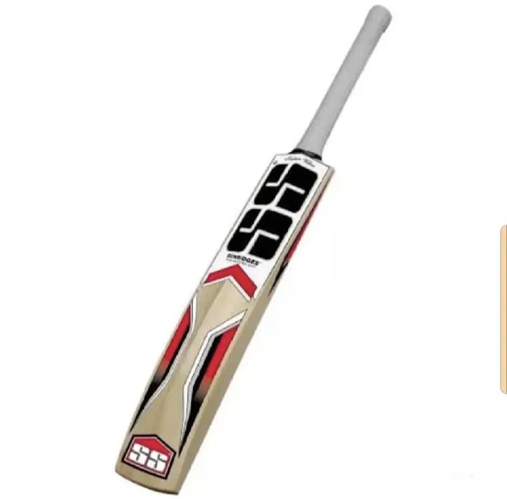SS Hardball cricket bat Kashmiri willows best quality hard ball cricket ...