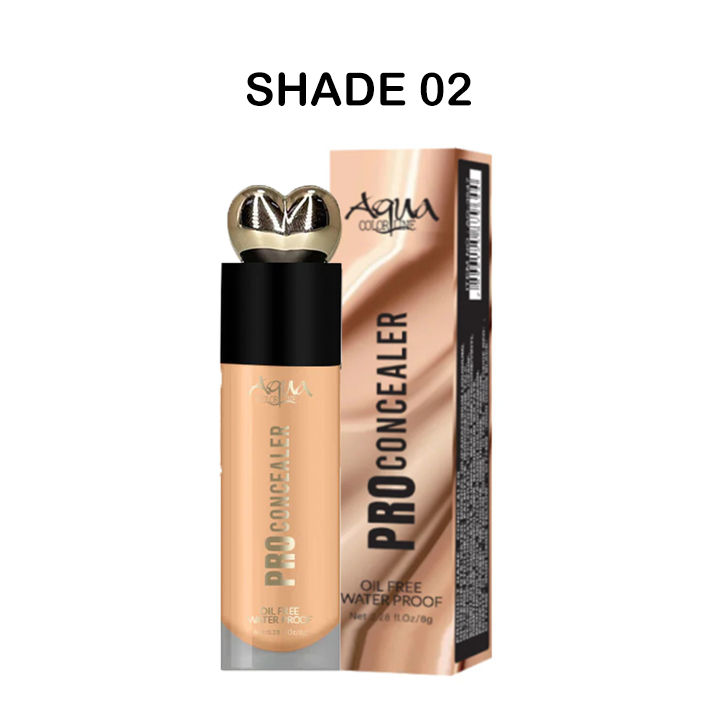 Aqua Color Line Pro Concealer Oil Free Waterproof Shade 02 | Daraz.pk