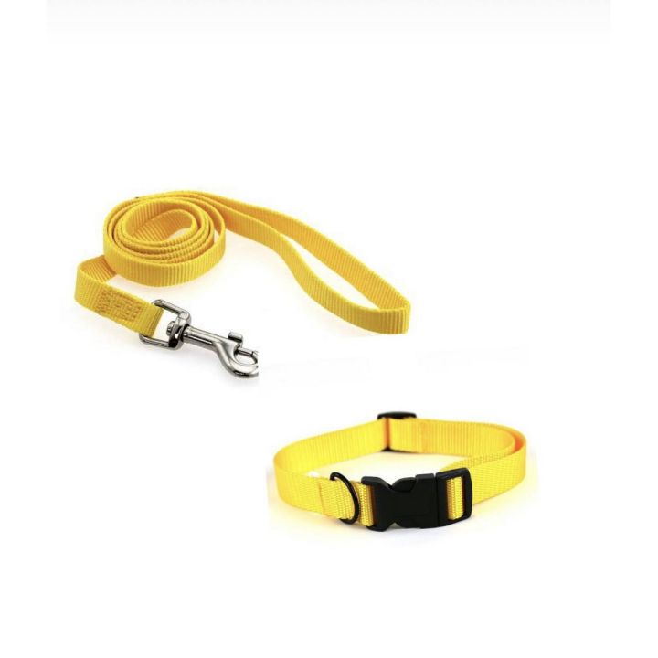 Nylon Collar + Lead ( Small Size ) For Dogs and Cats | Daraz.pk