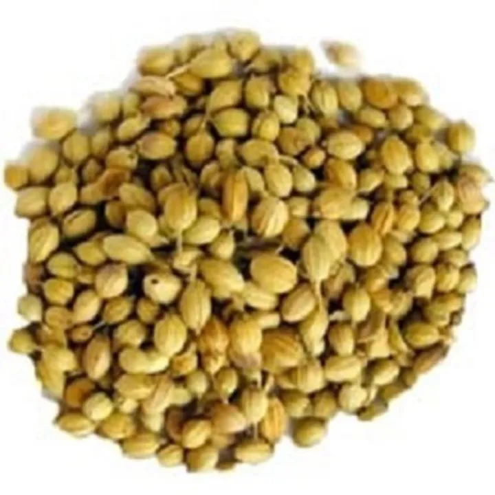 Coriander Sabut 500 Gm, Khushk Dhania, Sukha Dhania, Sabut Dhania ...