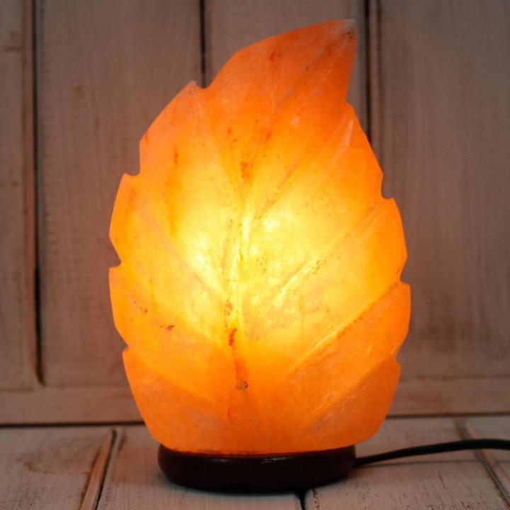 Himalayan Salt Lamp Leaf Shaped | Daraz.pk