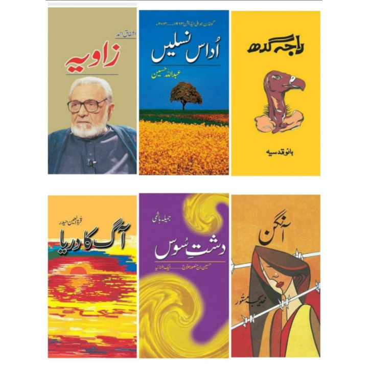 A collection of the best and most popular Urdu novels | Daraz.pk