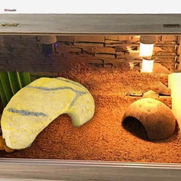 Reptiles Dock Resting Habitat Lizards Terrace Stone Turtles Basking ...