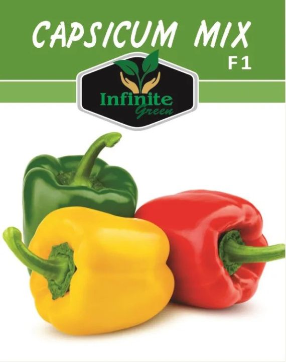 Hybrid Capsicum Seeds F1 – Tricolor Mix Pack | Daraz.pk