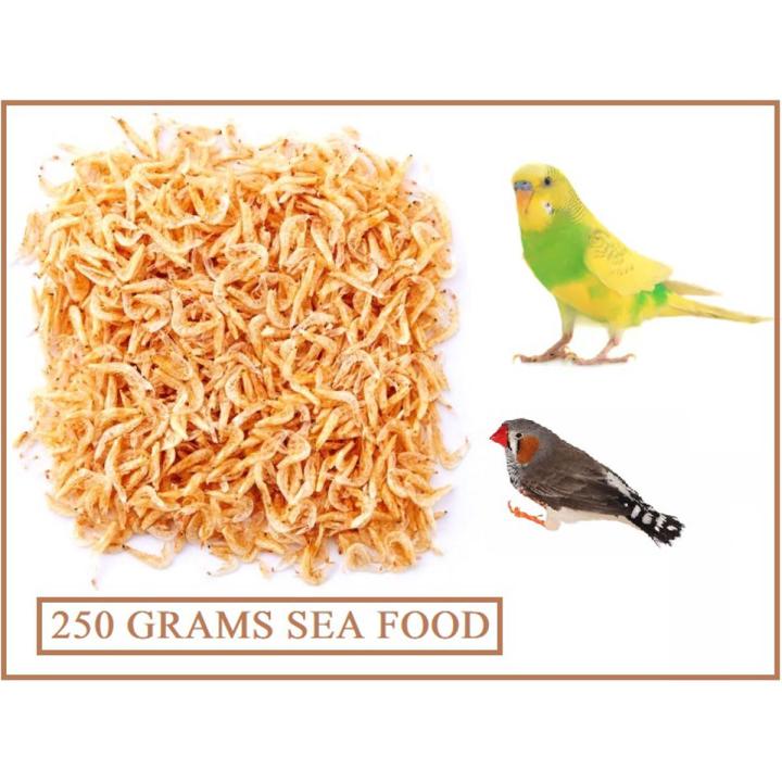 Dried Prawns Sea Food For Budgies and Finches | Daraz.pk