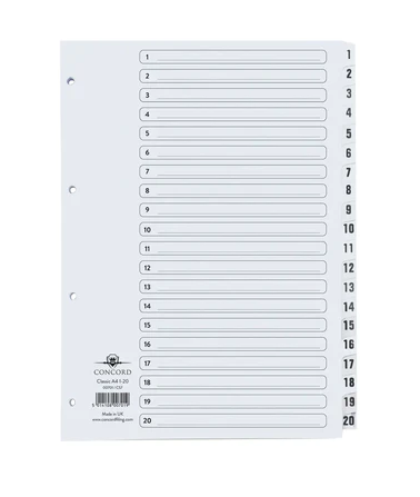China PVC File Separator A4 1 to 20 High-Quality Durable Plastic (1Pack ...