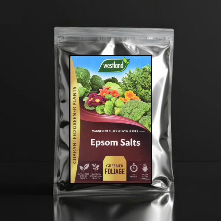 Westland Epsom Salt for Plants 500g – Magnesium Sulfate Fertilizer ...