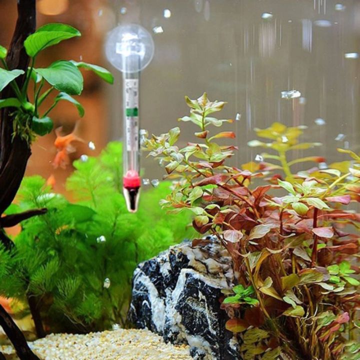 Portable With Suction Cup Fish Suction Cup Temperature Transparent ...