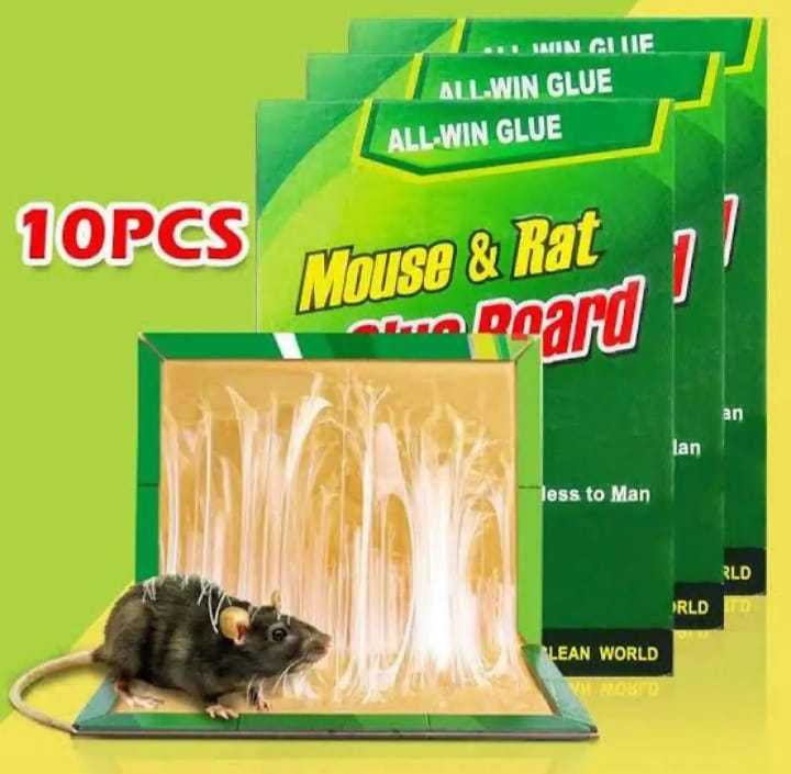 PACK OF 10 - Mouse Rat Glue Traps, New Version Strongly Adhesive, Mouse ...