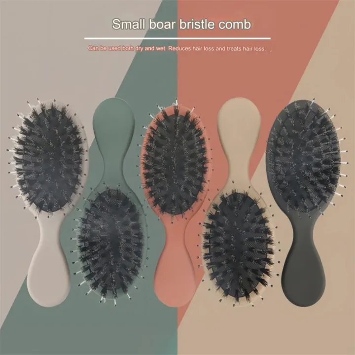 Portable Mini Paddle Brush Pig Bristle Lightwear Pocket Wet Brush Matte ...